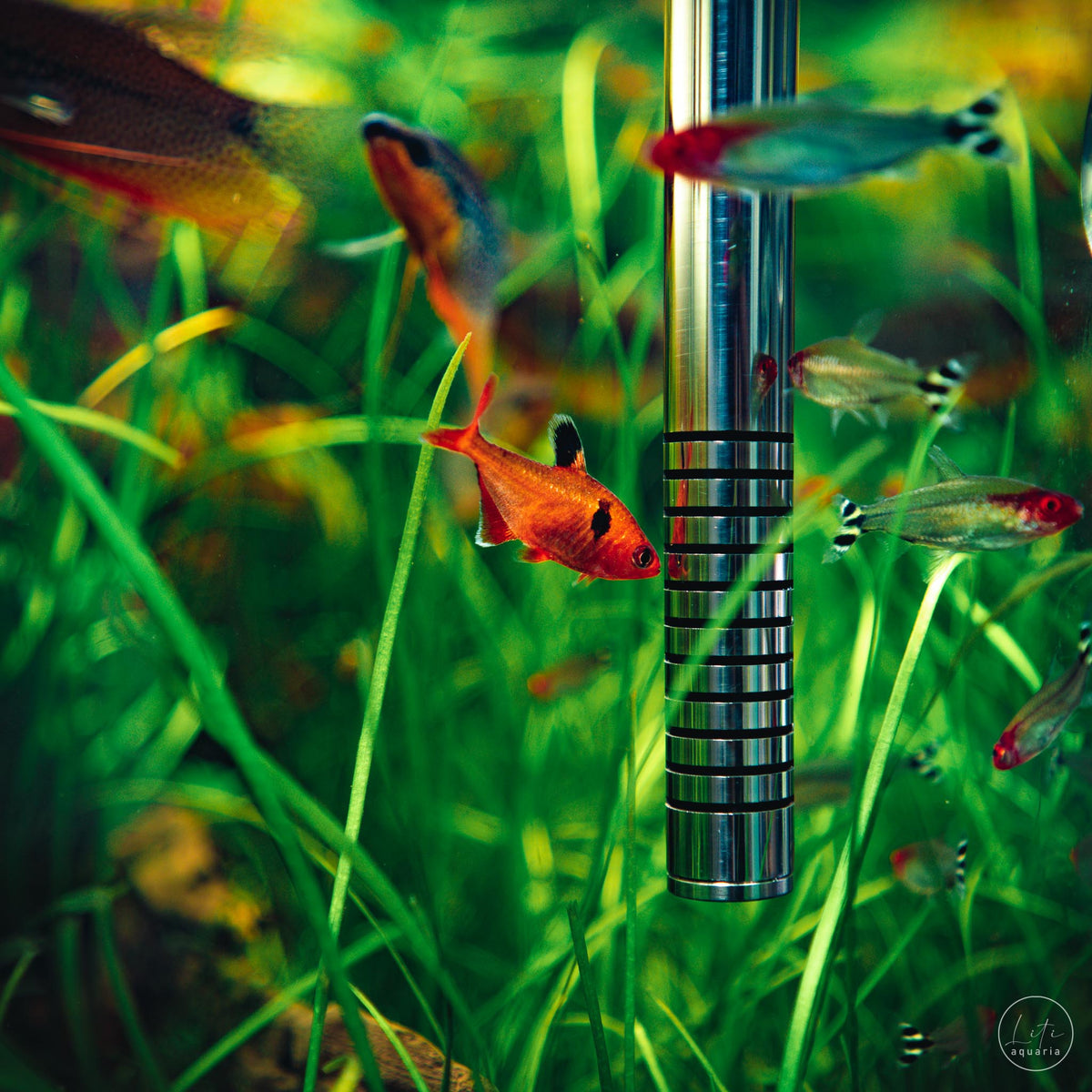 19mm Stainless Steel Jet Pipes – LitiAquaria